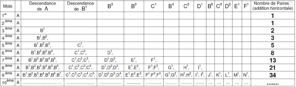 La suite de Fibonacci – L'ésotérisme pour tous et dans la vie courante