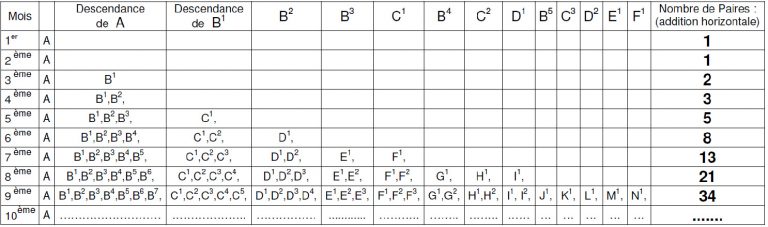 La suite de Fibonacci – L'ésotérisme pour tous et dans la vie courante